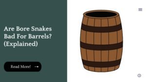 Are Bore Snakes Bad For Barrels? (Explained) | Unified Pets