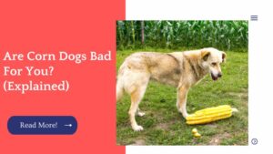 Are Corn Dogs Bad For You? (Explained) | Unified Pets