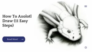 How To Axolotl Draw (11 Easy Steps)