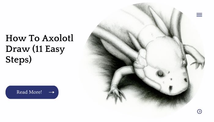 How To Axolotl Draw (11 Easy Steps) | Unified Pets