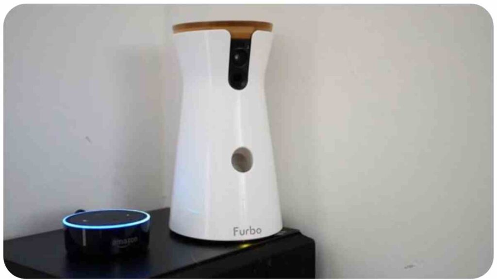 How to Sync Your Furbo Dog Camera with Amazon Echo | Unified Pets