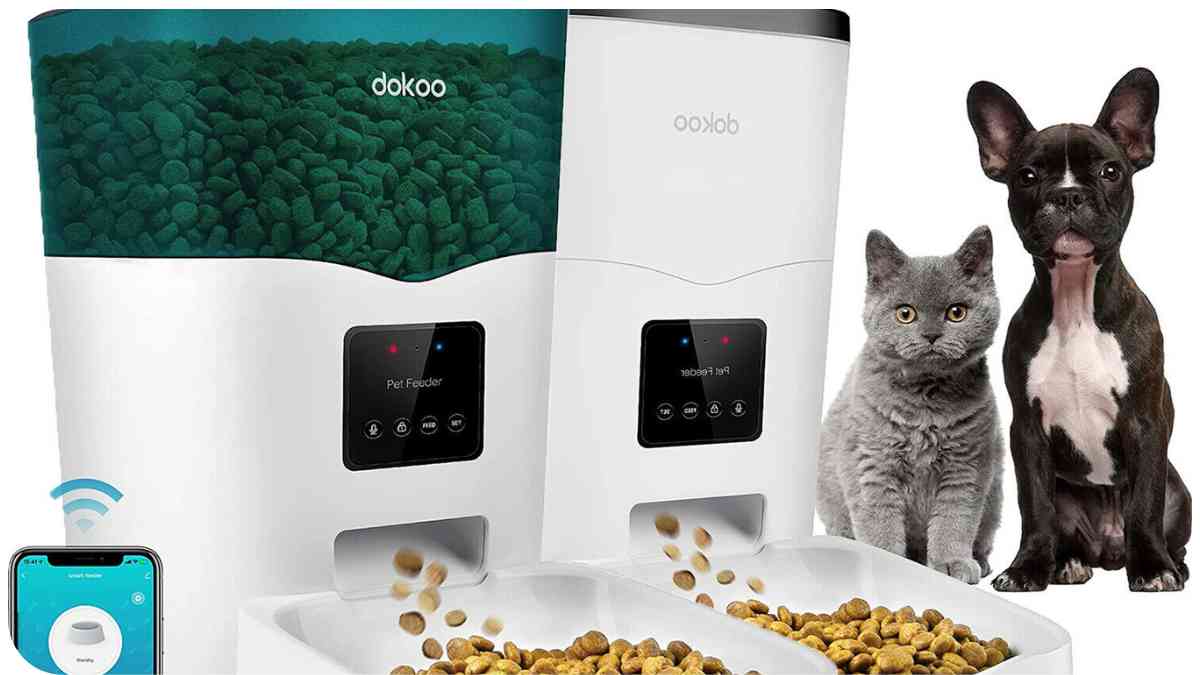 Mastering Smart Pet Feeders: Troubleshooting Tips & Expert Guidance | Unified Pets