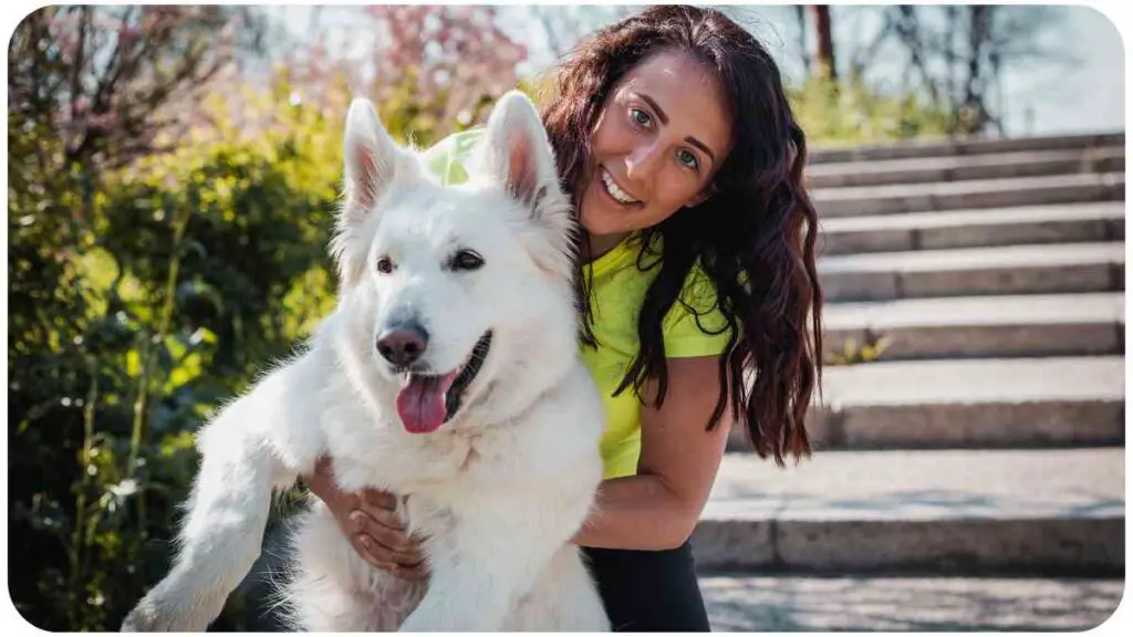 Dog Eraser Ingestion: Recognize, Respond, Prevent | Unified Pets